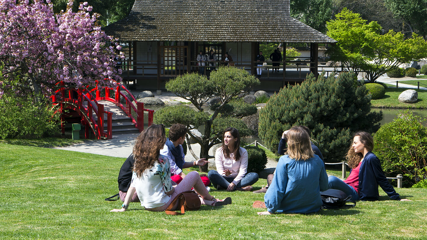 CSR-Sustainable Development Center of Excellence | TBS Education